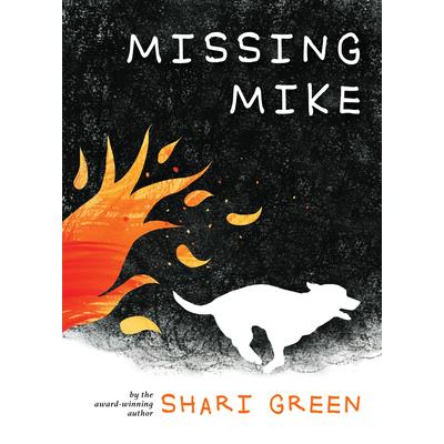 Missing Mike－金石堂