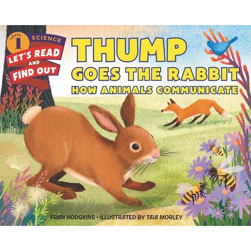 Thump Goes the Rabbit－金石堂