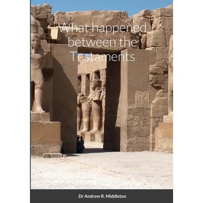 What happened between the Testaments－金石堂