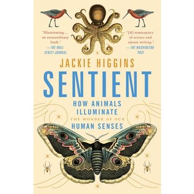 Sentient－金石堂