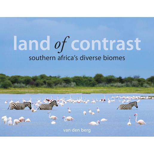 Land of Contrast－金石堂